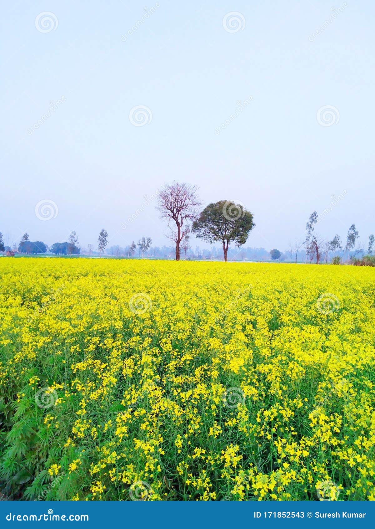Indian Village a Nice View on Landscape Stock Image - Image of view ...