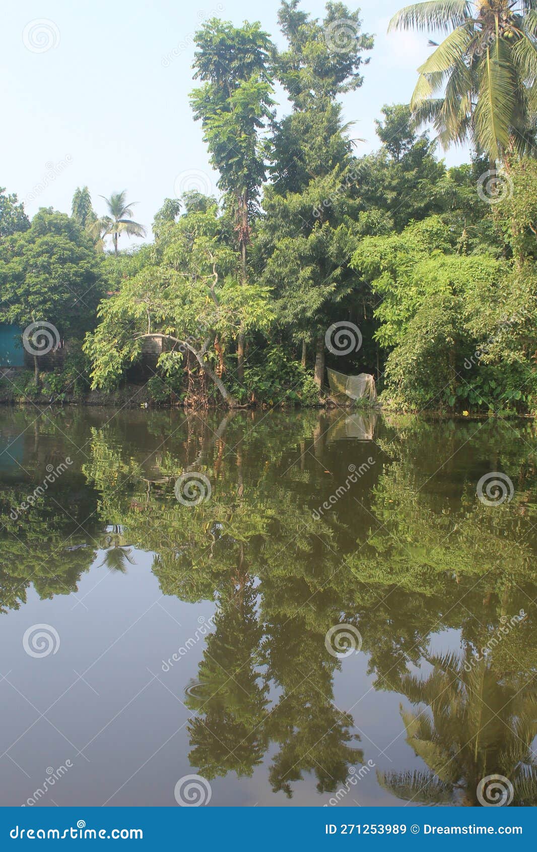 Indian Village Pond and Trees Stock Image - Image of wetland, woodland ...