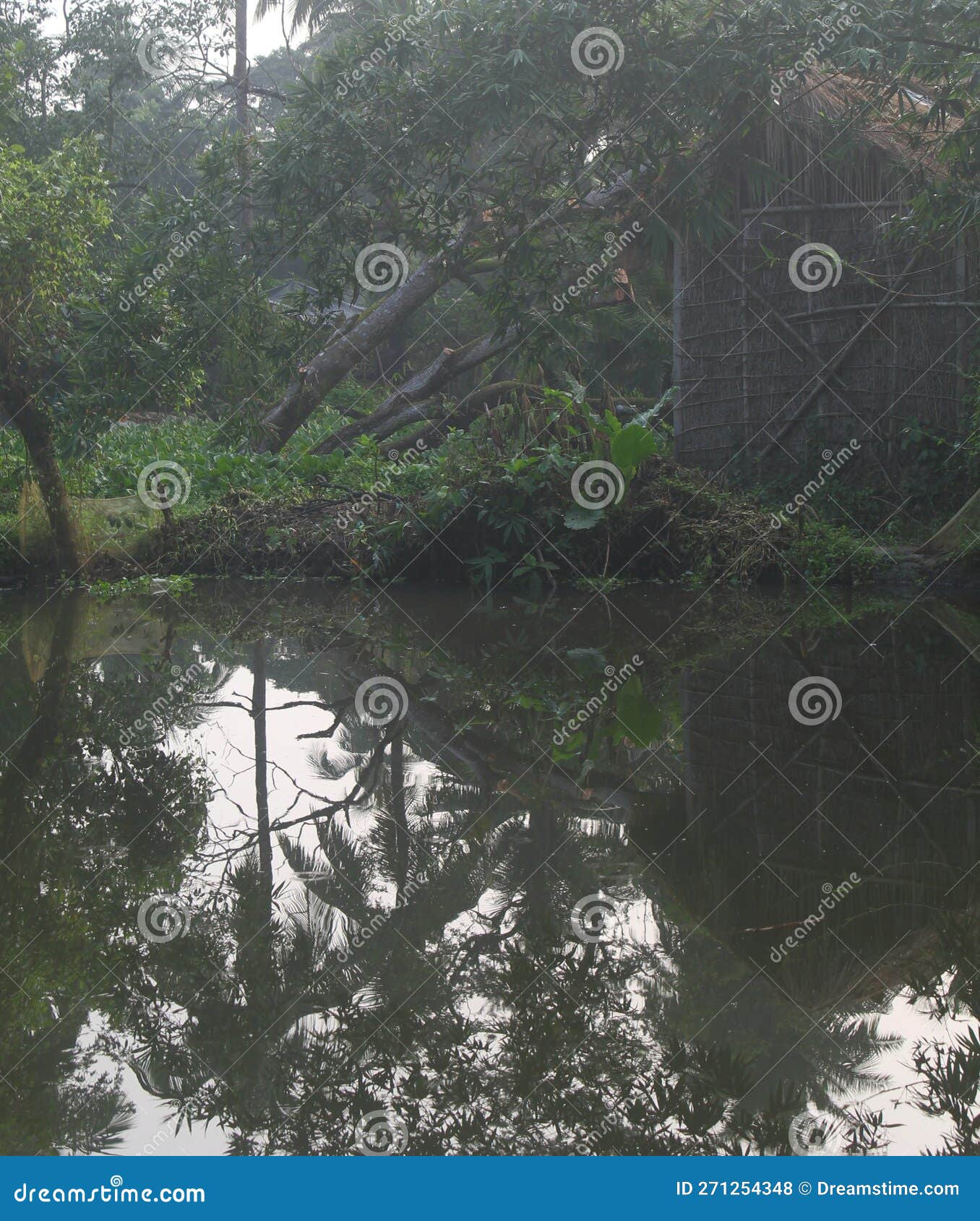 Indian Village Pond and Trees Stock Photo - Image of bayou, pond: 271254348
