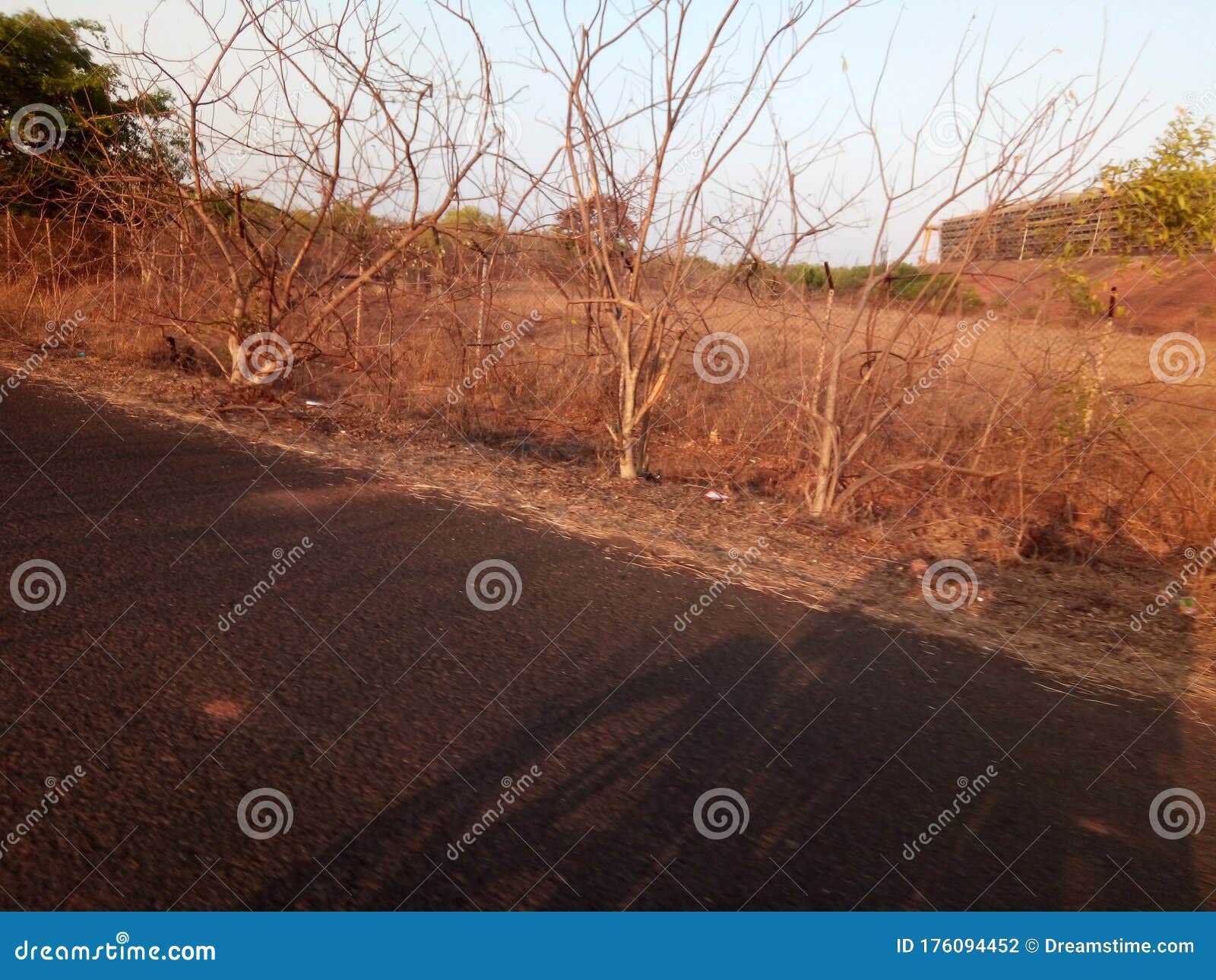 Indian Village Road Nice View Stock Photo - Image of plants, grass ...