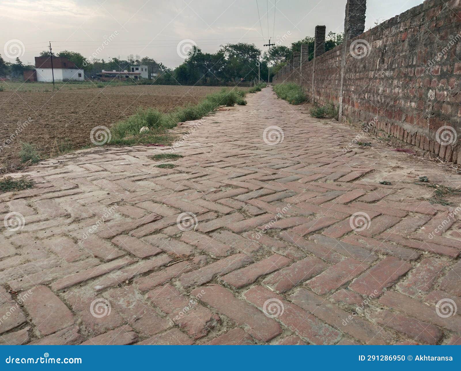 Indian Village Road. Old Red Rectangle Brick Path or Trail or Sidewalk ...