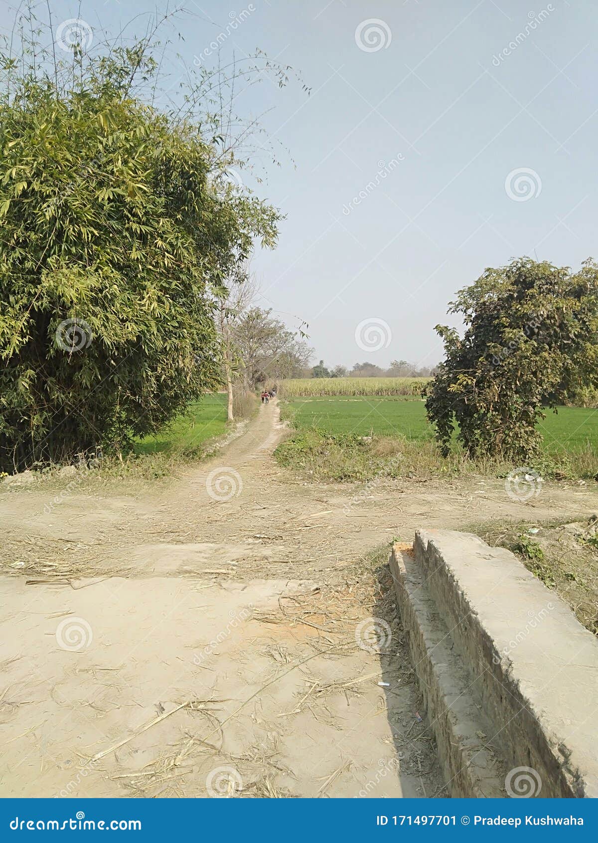 Indian Village Road Sites Tree and Land Stock Image - Image of land ...