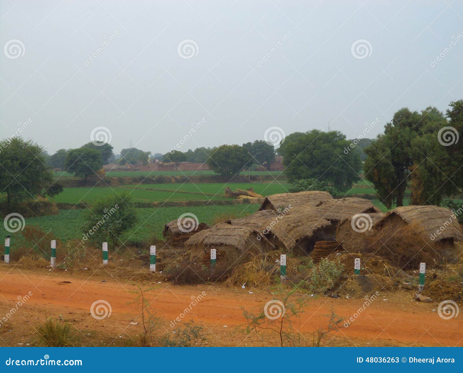 Indian Village Scene stock image. Image of trees, indian - 48036263