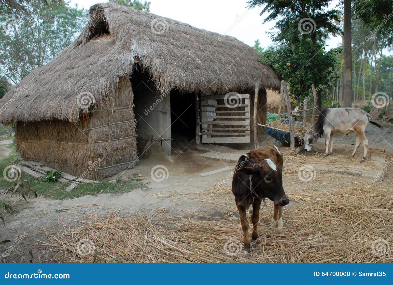 Indian village editorial image. Image of horizontal, view - 64700000