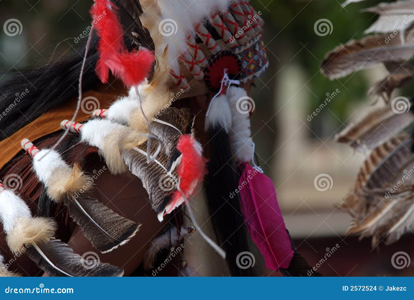 Indian warrior from behind stock photo. Image of tribal - 2572524