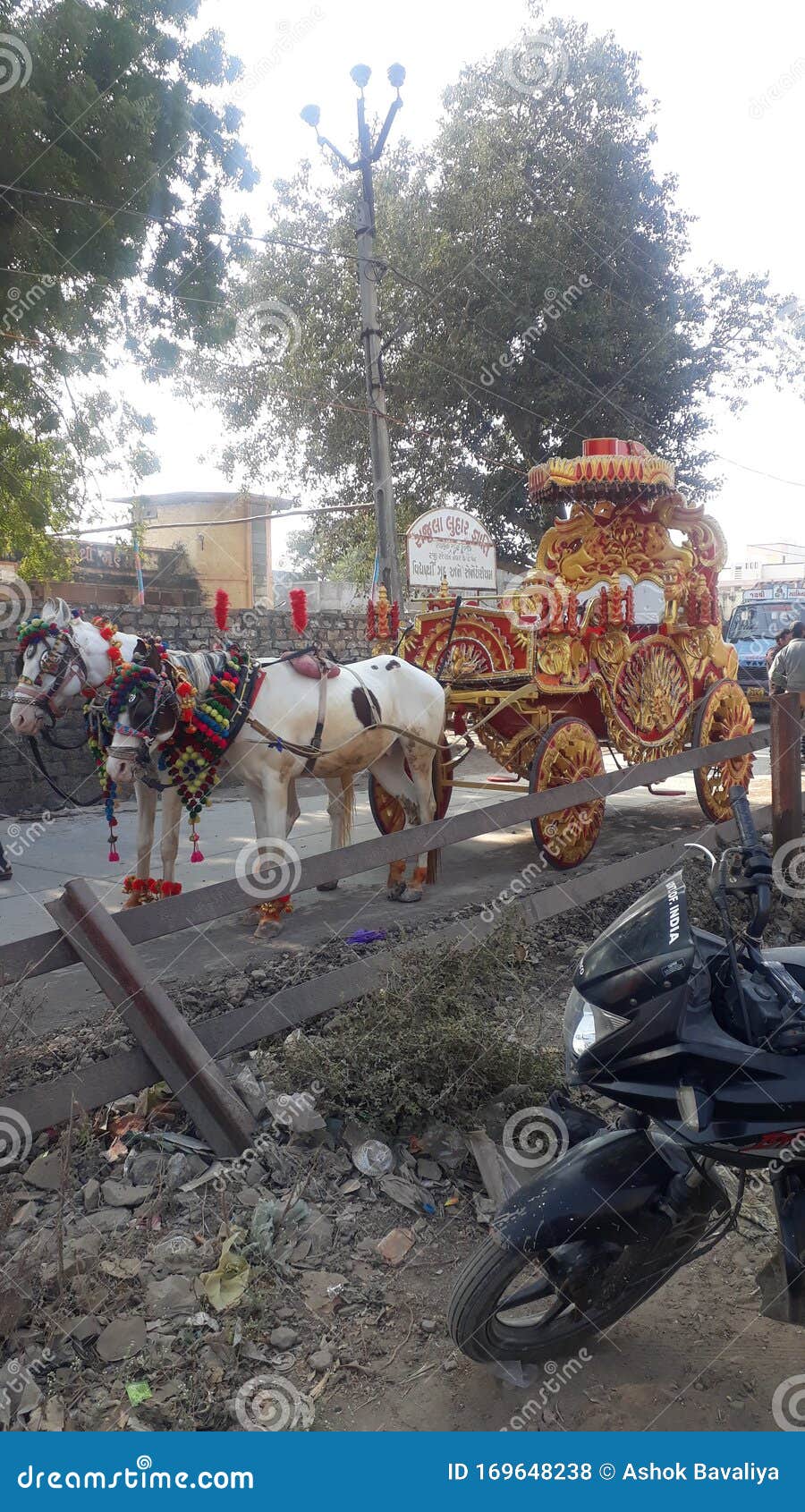 Indian Wedding Gadi in To Horse Editorial Stock Photo - Image of happy ...