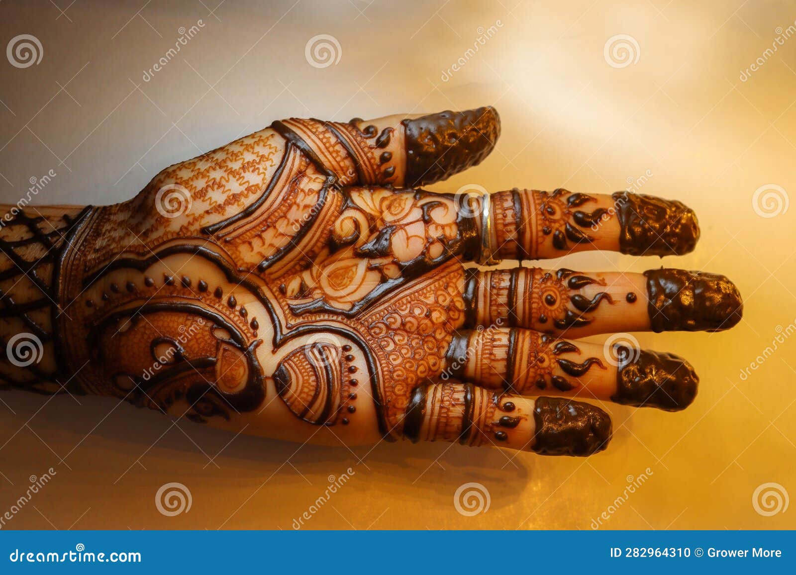 Indian Wedding Traditional Mahendi on Female Hand. Stock Photo - Image ...