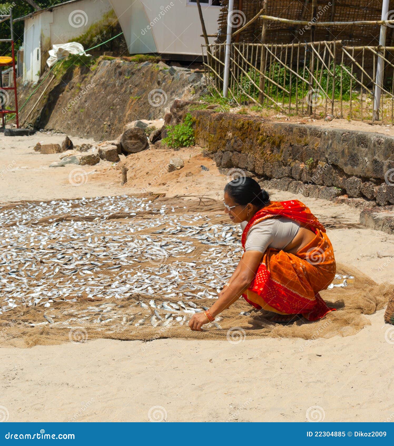 Indian Woman Apportion Fish. Palolem Beach. Editorial Image - Image of ...