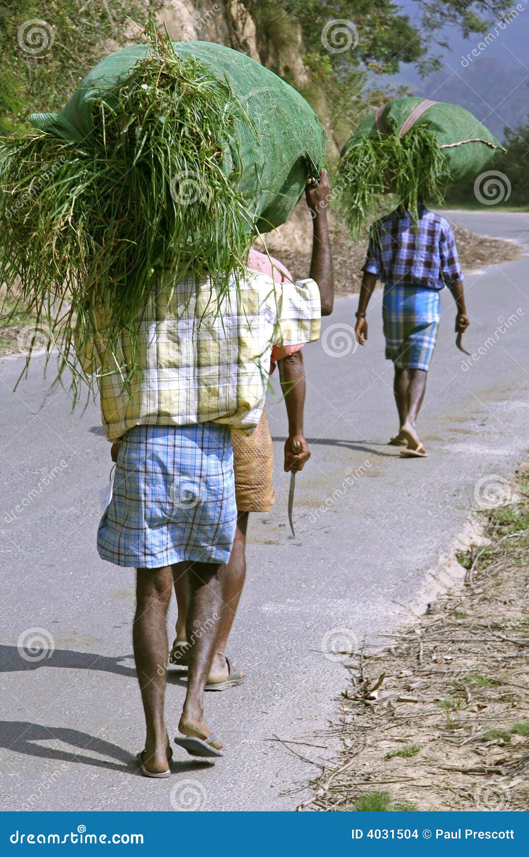 Indian Workers Or Laborers Accommodation In An Temporary Caravan Or ...