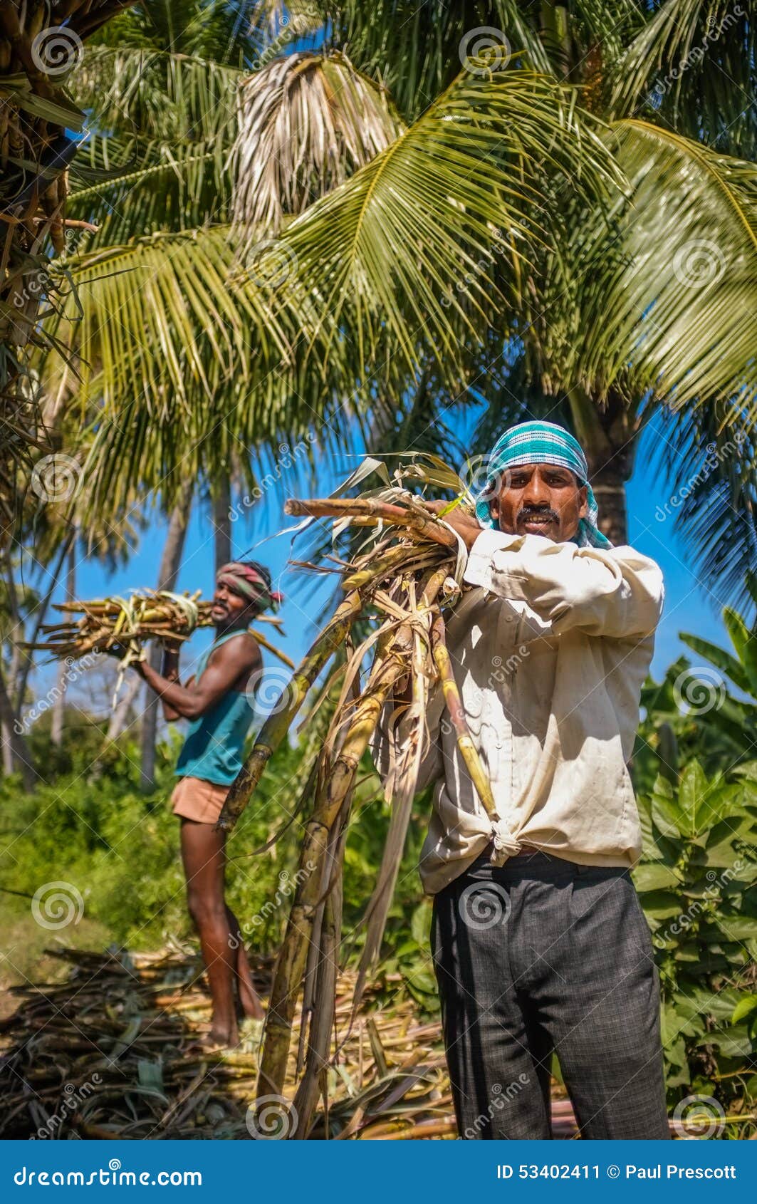 Indian workers editorial photo. Image of nature, vehicle - 53402411