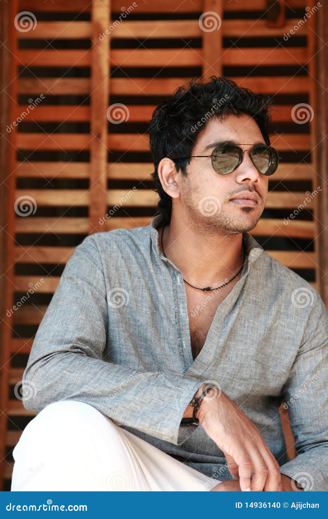Indian young man stock photo. Image of portrait, person - 14936140