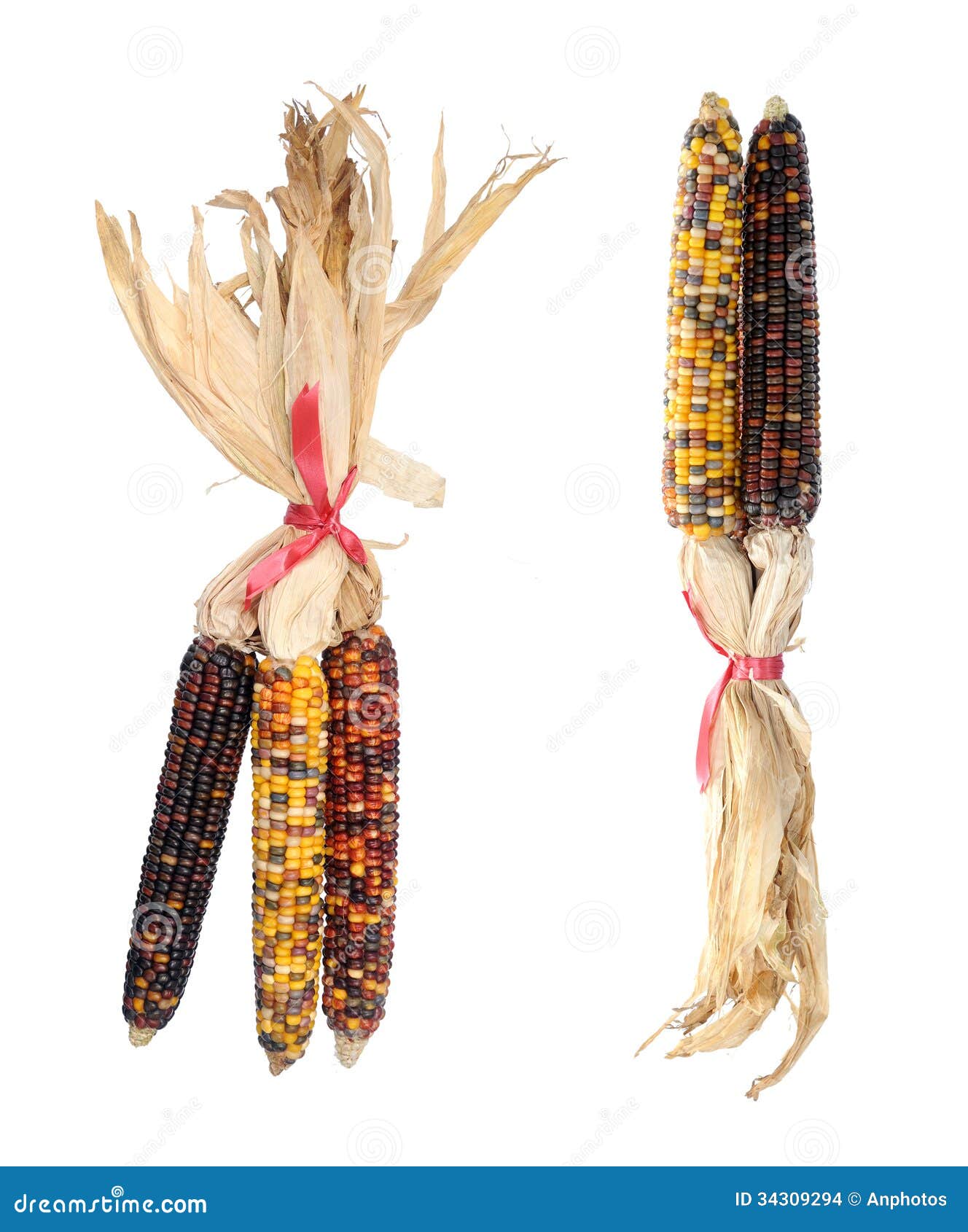 Indiana Corn For Background Stock Photography | CartoonDealer.com #27260462