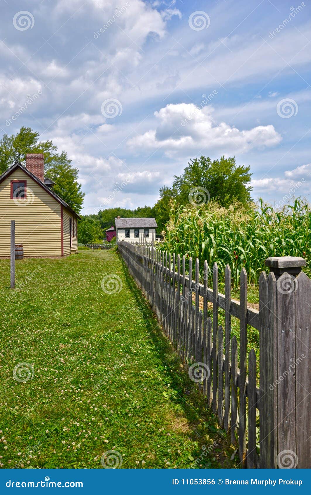 Indiana farm stock photo. Image of rural, summer, farming - 11053856