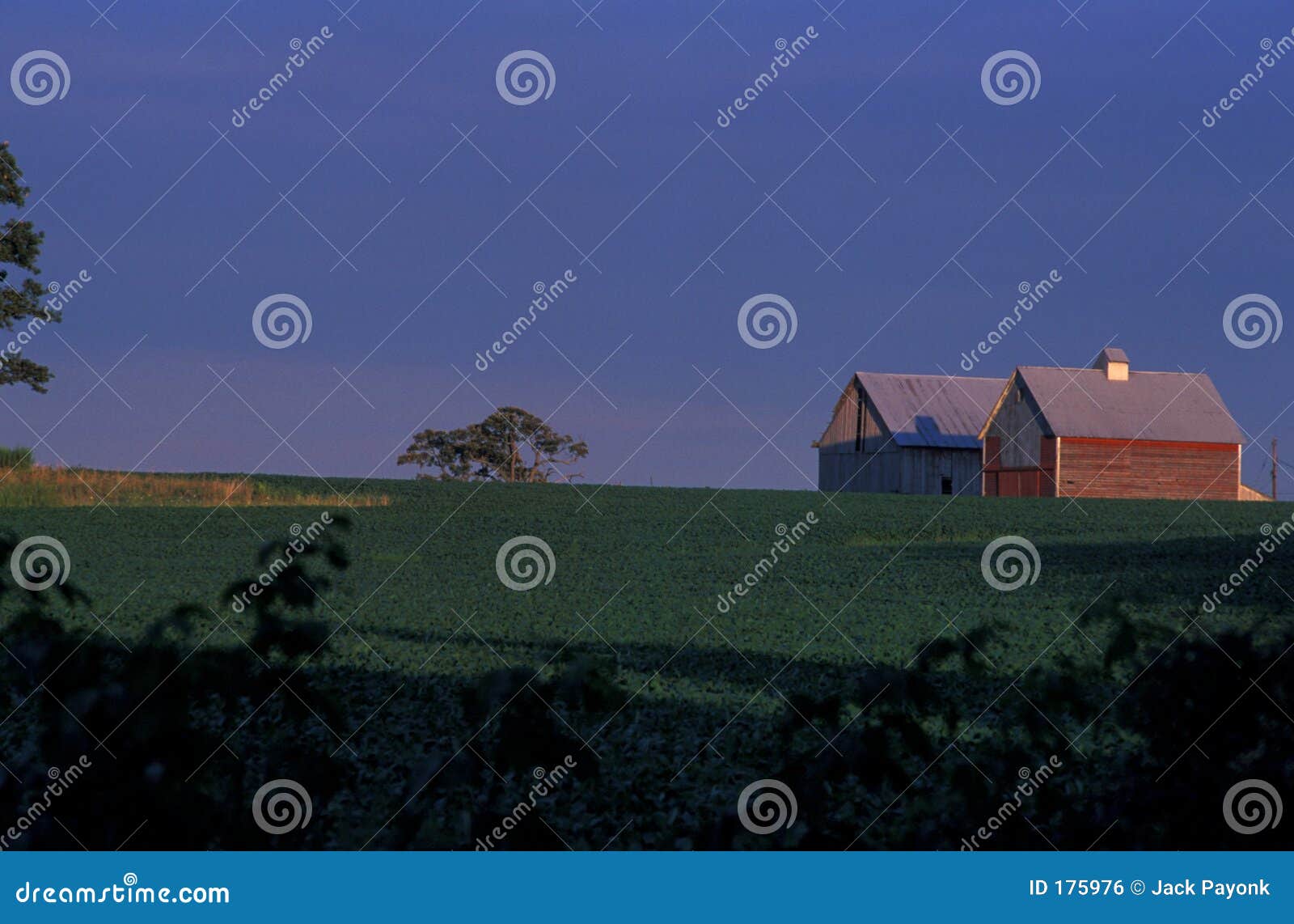 Indiana Farm stock photo. Image of farming, blue, farm - 175976