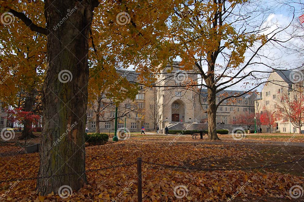 Indiana university campus stock photo. Image of indiana - 14327184