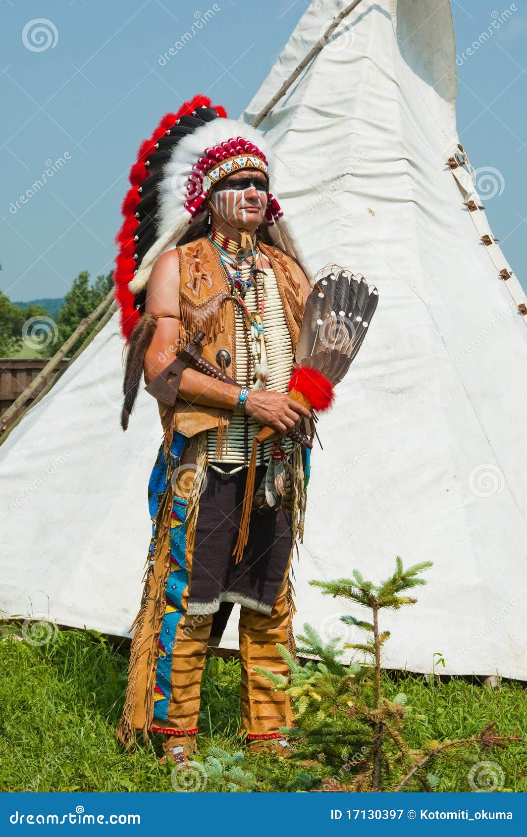 Indiano nordamericano immagine stock. Immagine di tradizionale - 17130397