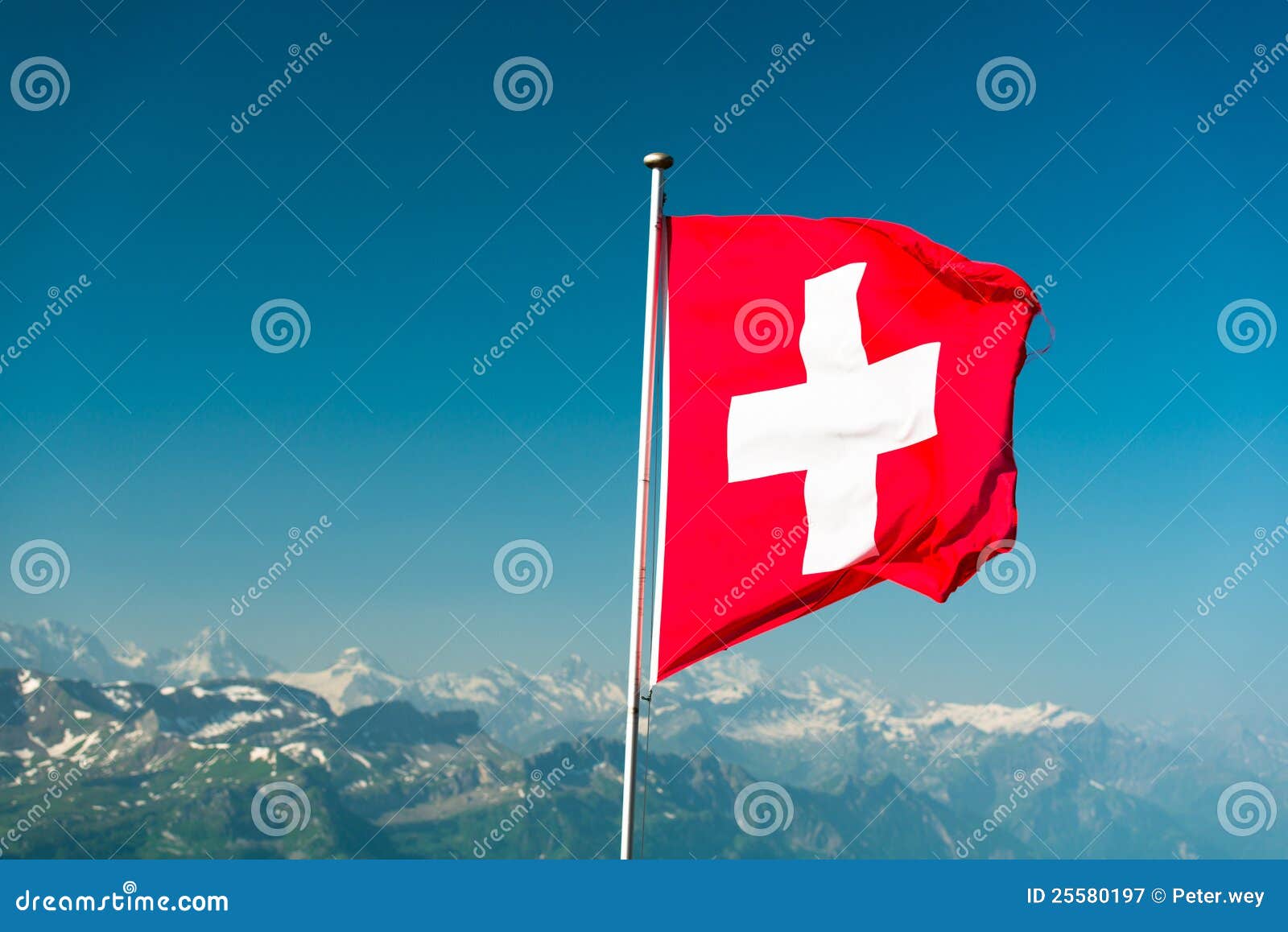 Indicador suizo imagen de archivo. Imagen de icono, gobierno - 25580197