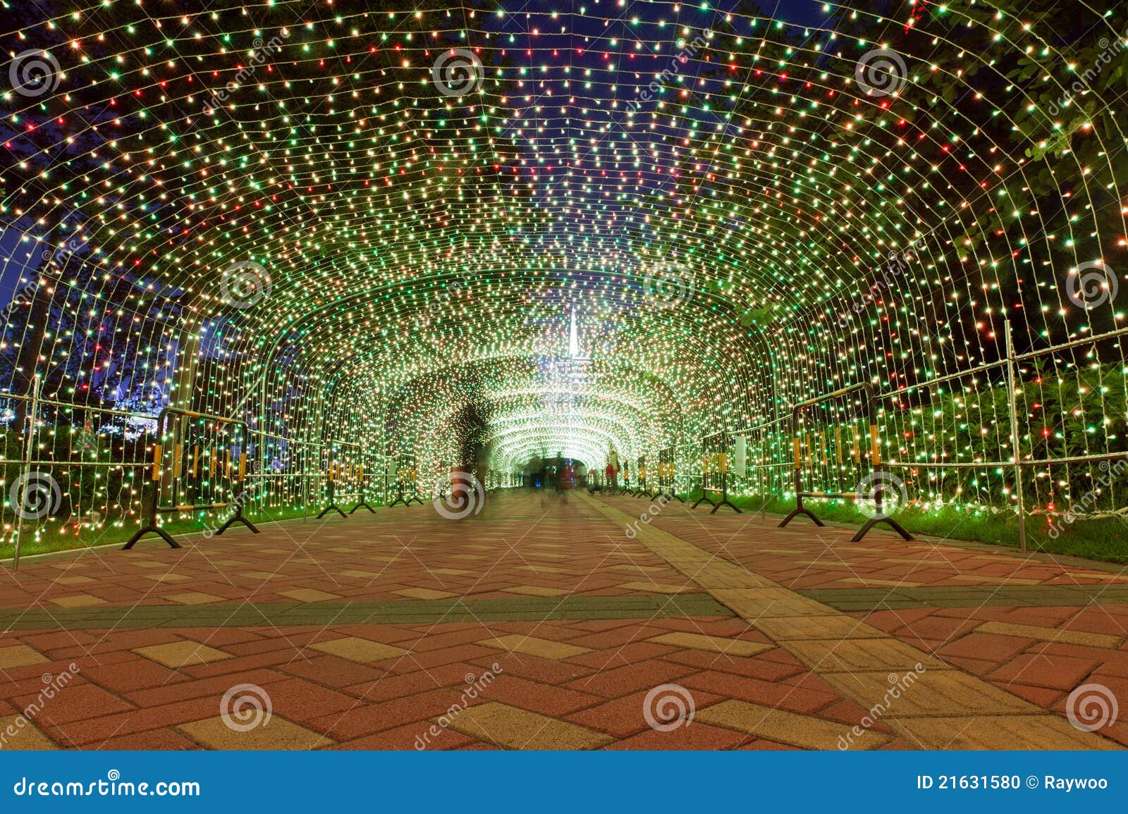 Indicatore Luminoso Al Neon E Strada Fotografia Stock - Immagine di ...