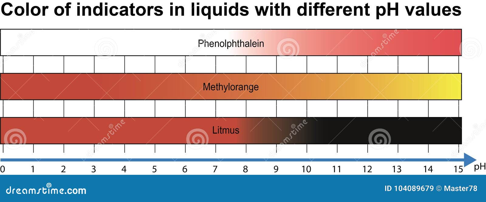 Indicators in Liquids with Different PH Values Stock Vector ...