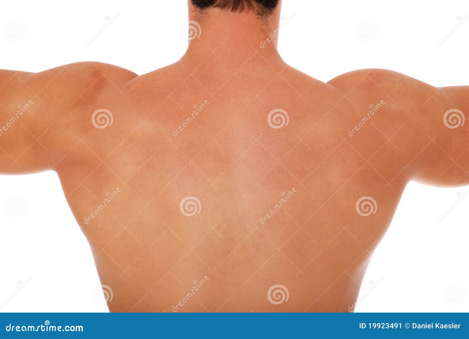 Indietro Di Una Persona Maschio Immagine Stock - Immagine di torso ...