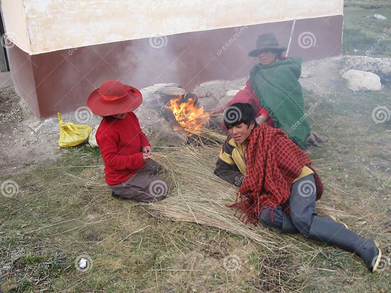 Indigence Peruvian family editorial photo. Image of indigence - 14431396