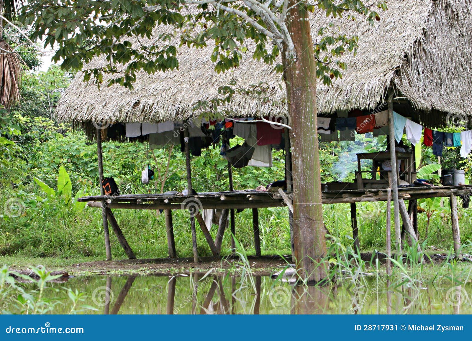 Indigenous House stock image. Image of tree, home, rainforest - 28717931