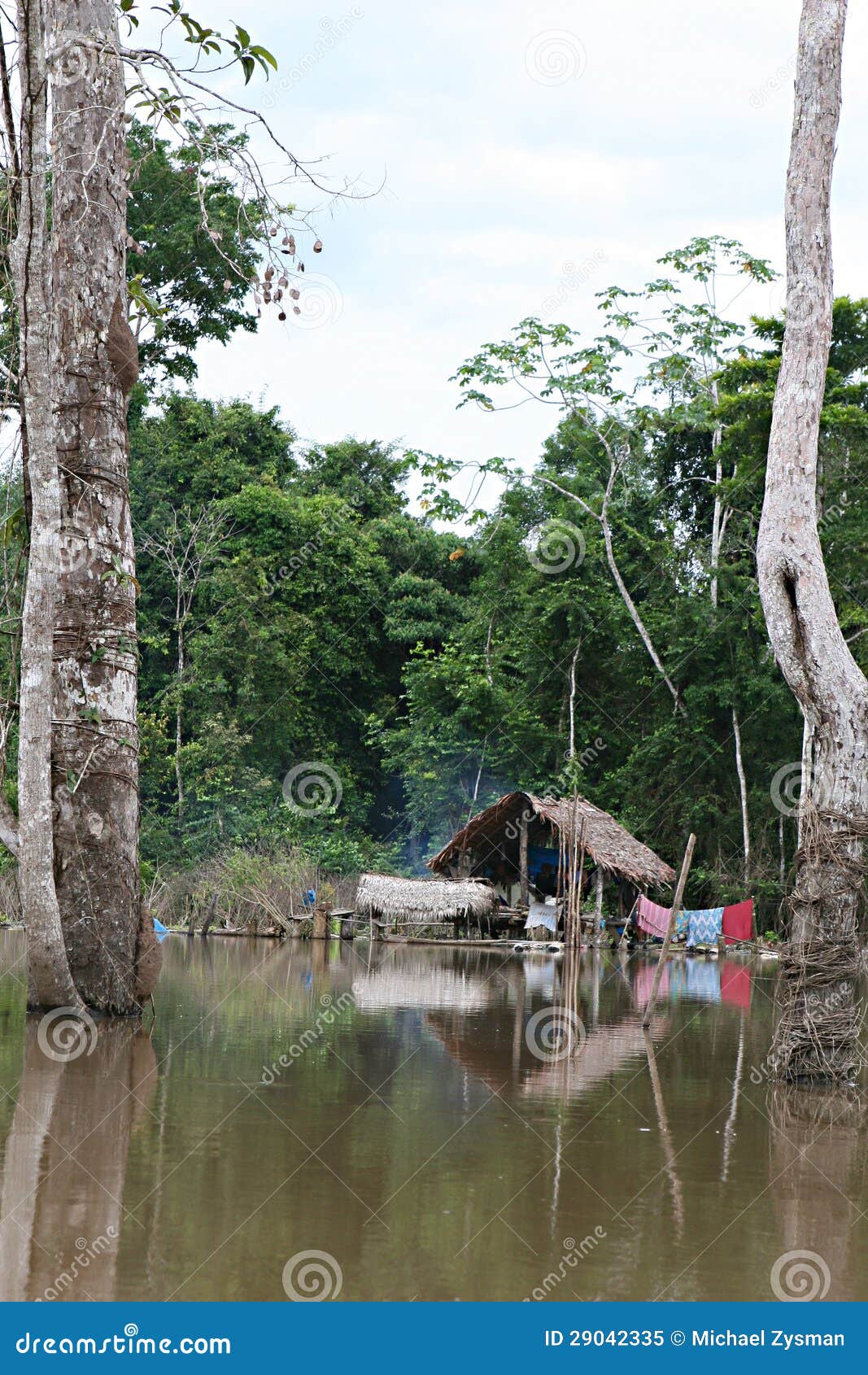 Indigenous House stock image. Image of green, rainforest - 29042335