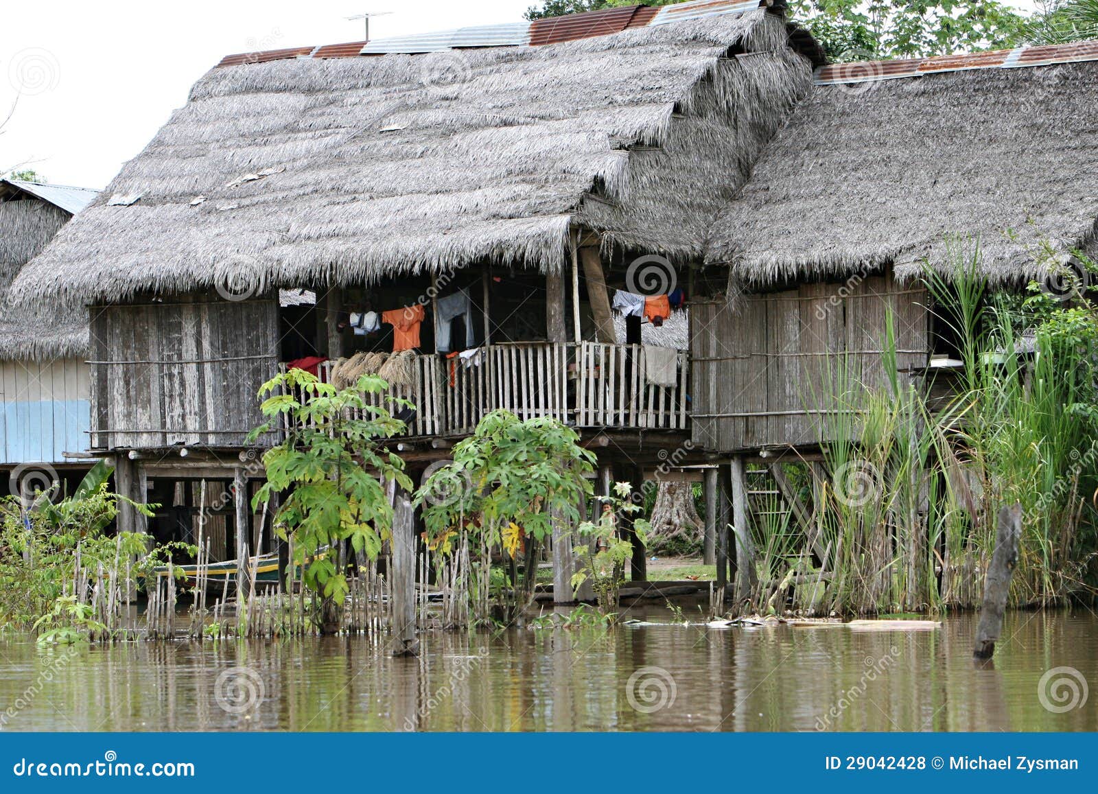 Indigenous House stock photo. Image of landscape, forest - 29042428