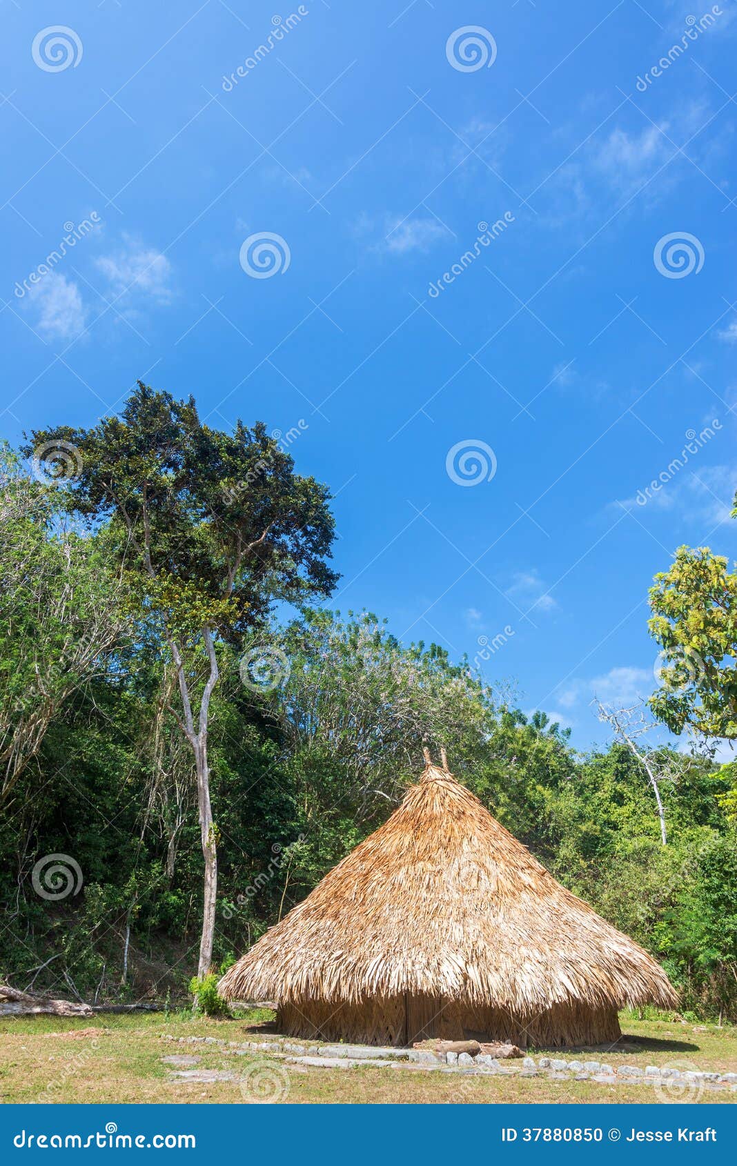 Indigenous Hut stock photo. Image of tayrona, tropic - 37880850