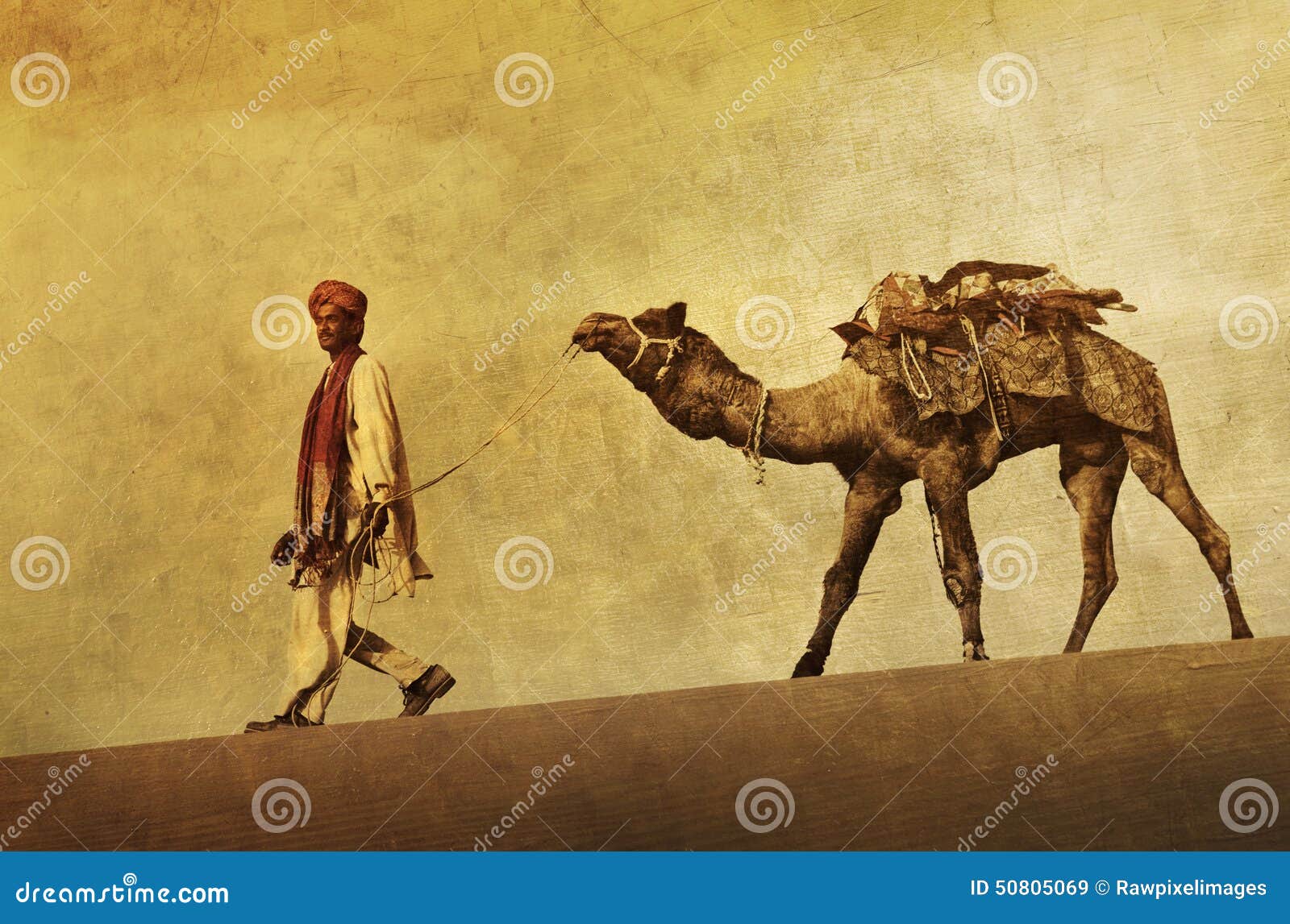 Indigenous Indian Man Walking through the Desert with His Camel Stock ...