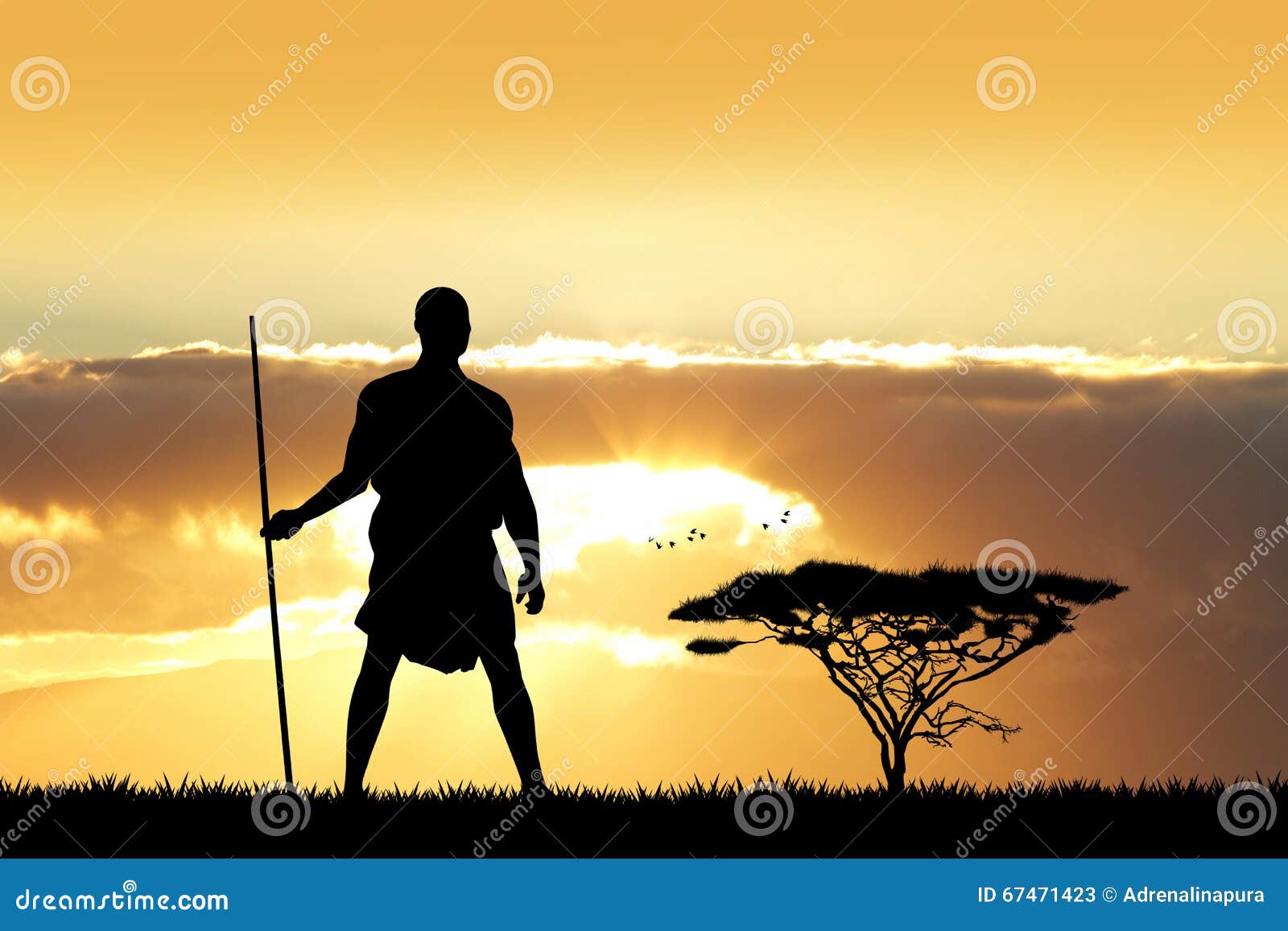 Indigenous at sunset stock illustration. Illustration of acacia - 67471423