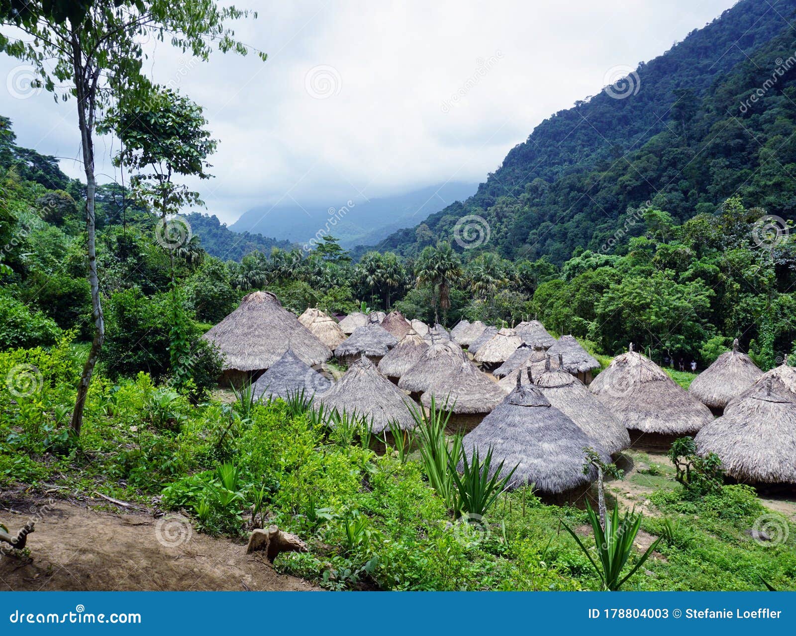 Indigenous Village in the Colombian Jungle Stock Image - Image of ...