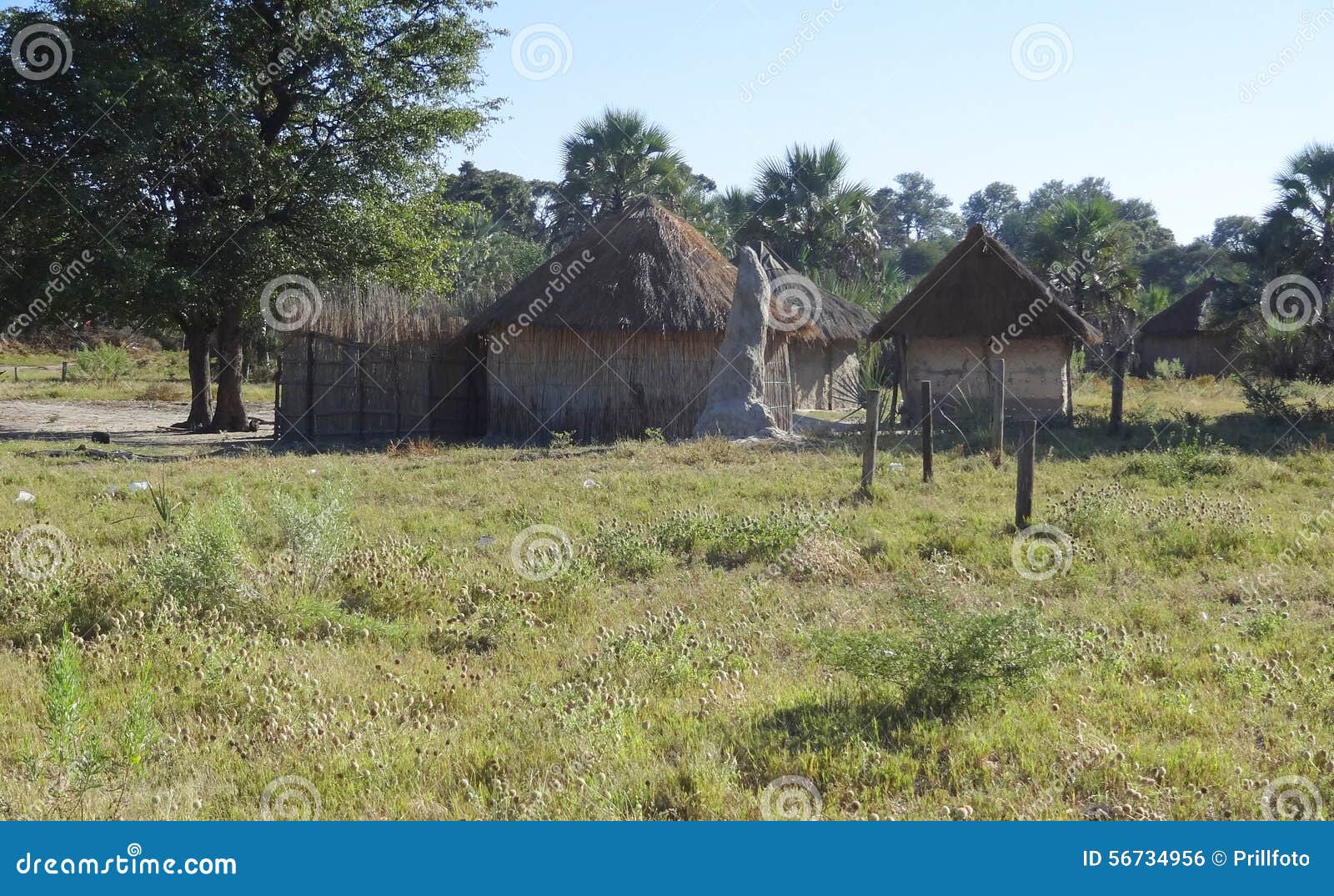 Indigenous Village at the Okavango Delta Stock Photo - Image of ...