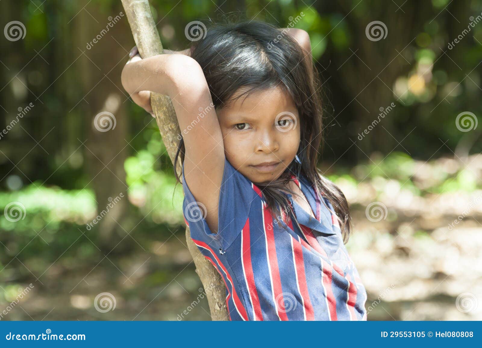Indigenous Girl Amazonia editorial image. Image of feathers - 29553105