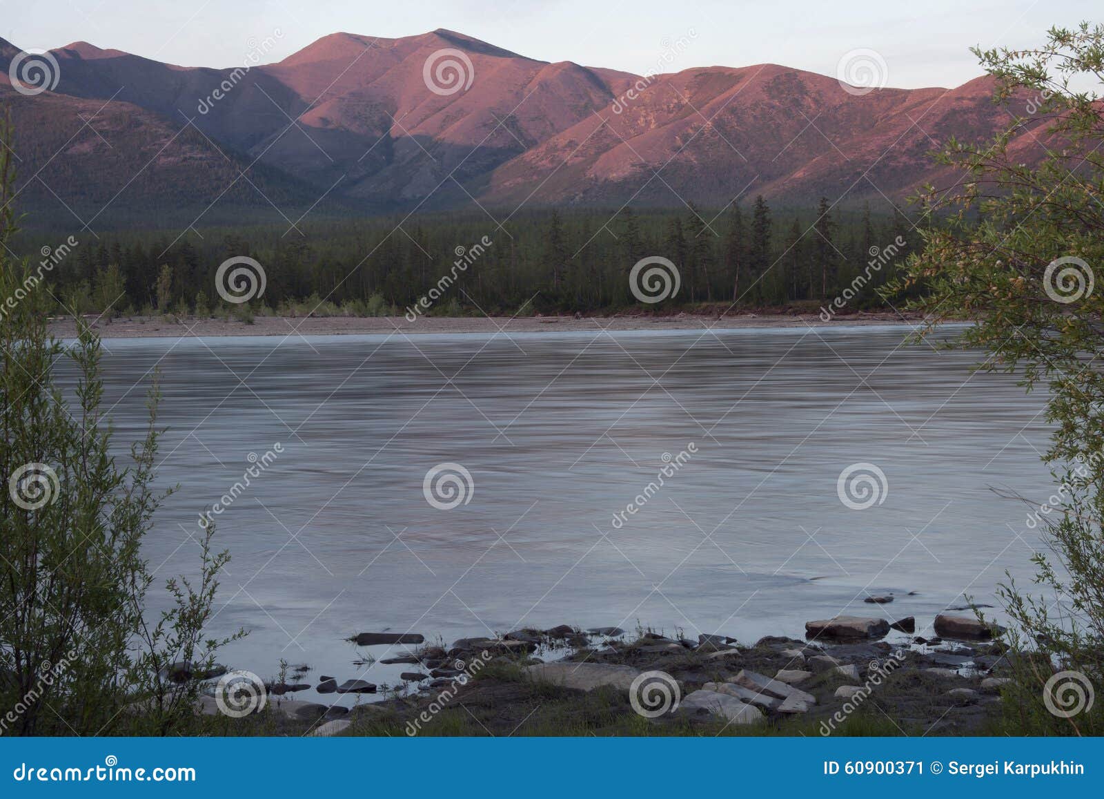 Indigirka. stock image. Image of trees, evening, traffic - 60900371