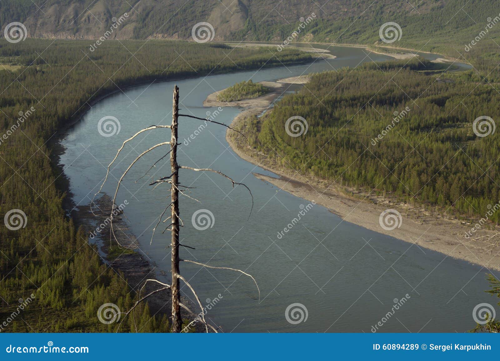 Indigirka. stock image. Image of trees, wood, valley - 60894289