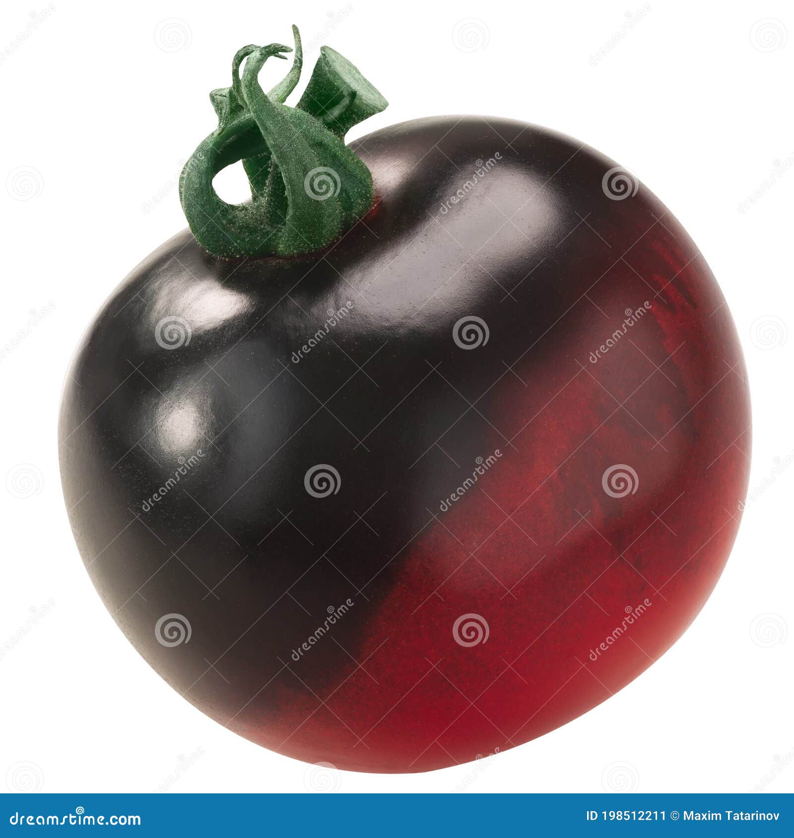 Indigo Rose Heirloom Tomate Aislado Imagen de archivo - Imagen de ...