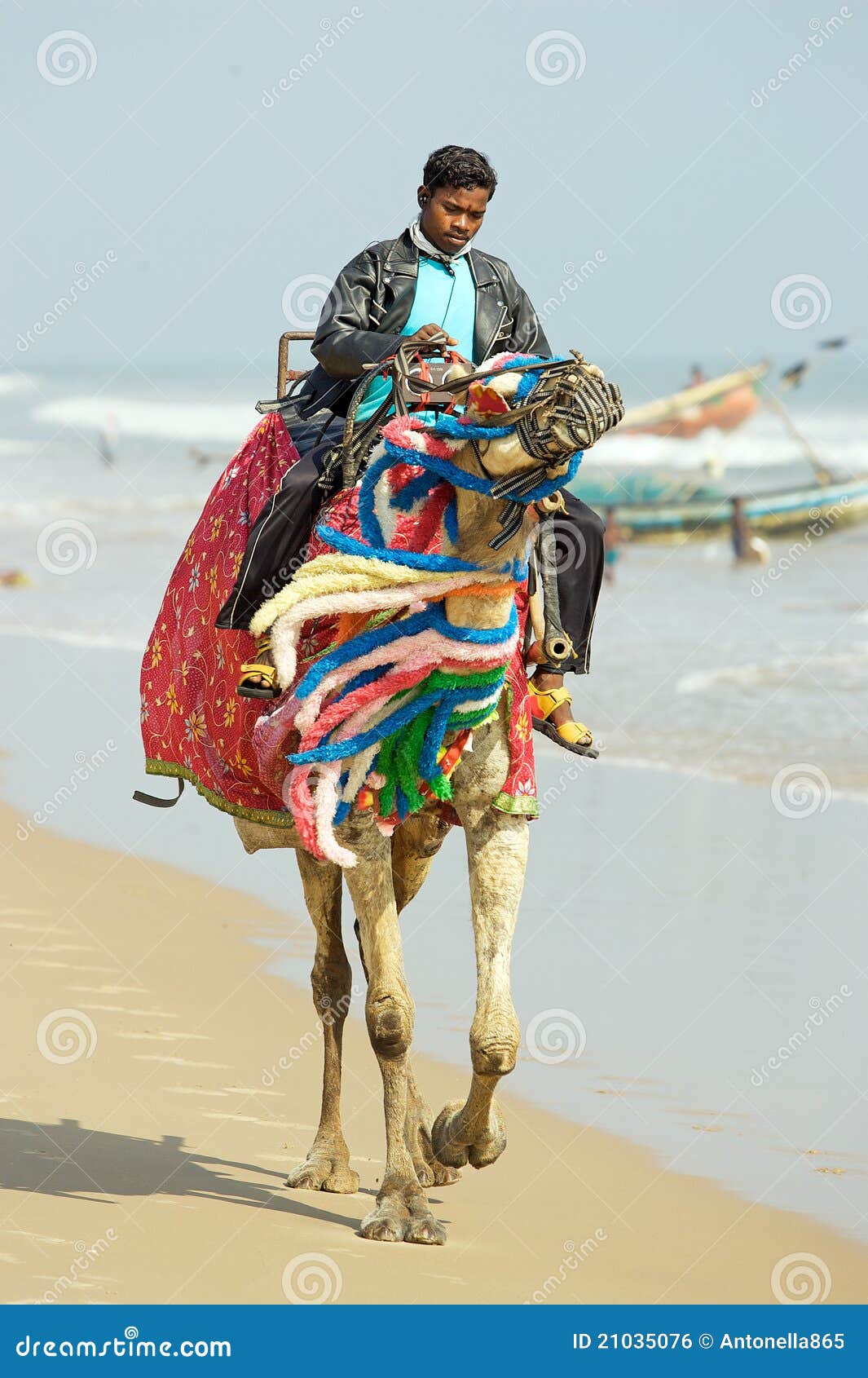 Indische mens en kameel redactionele foto. Image of mensen - 21035076