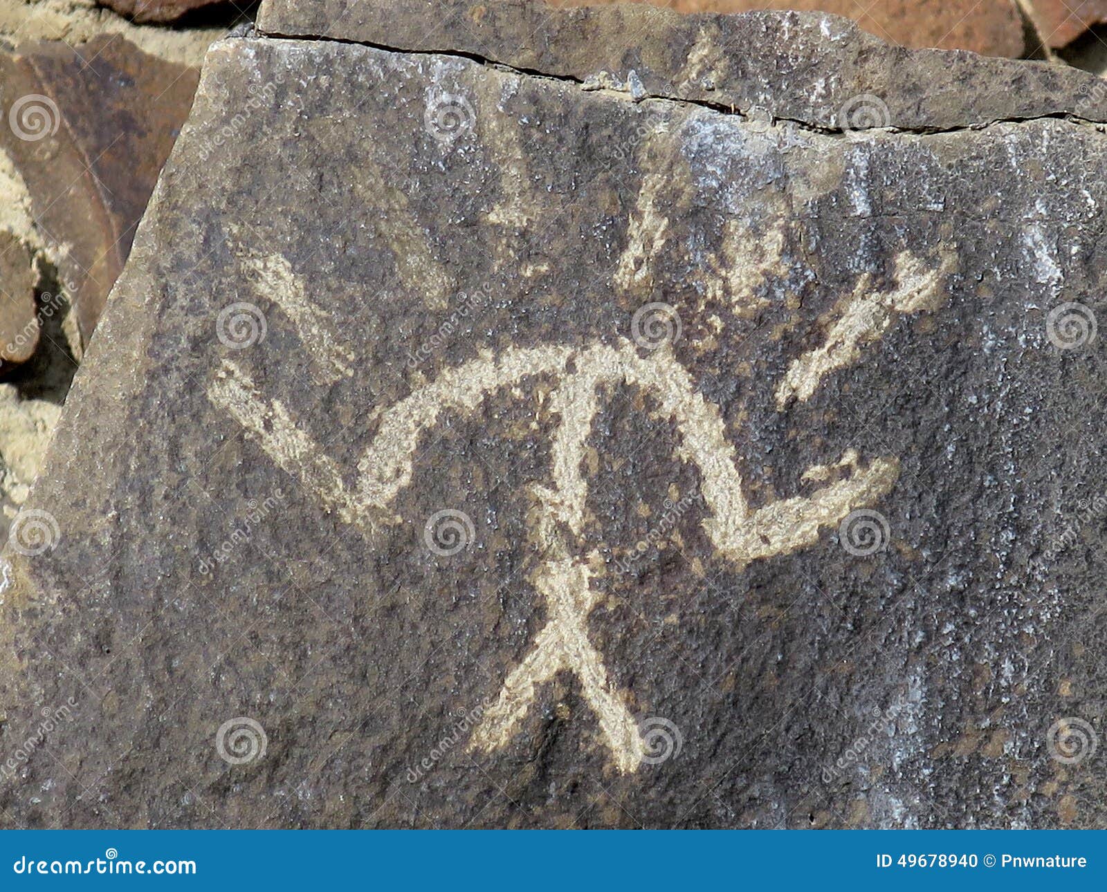 Indische Rotstekening in Oostelijk Washington Stock Foto - Image of ...