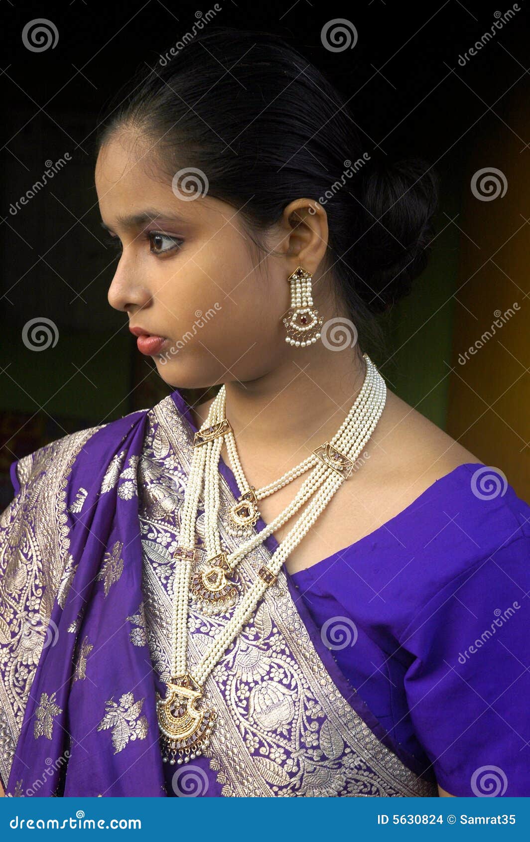 Indisk kvinna arkivfoto. Bild av kvinna, indien, saree - 5630824