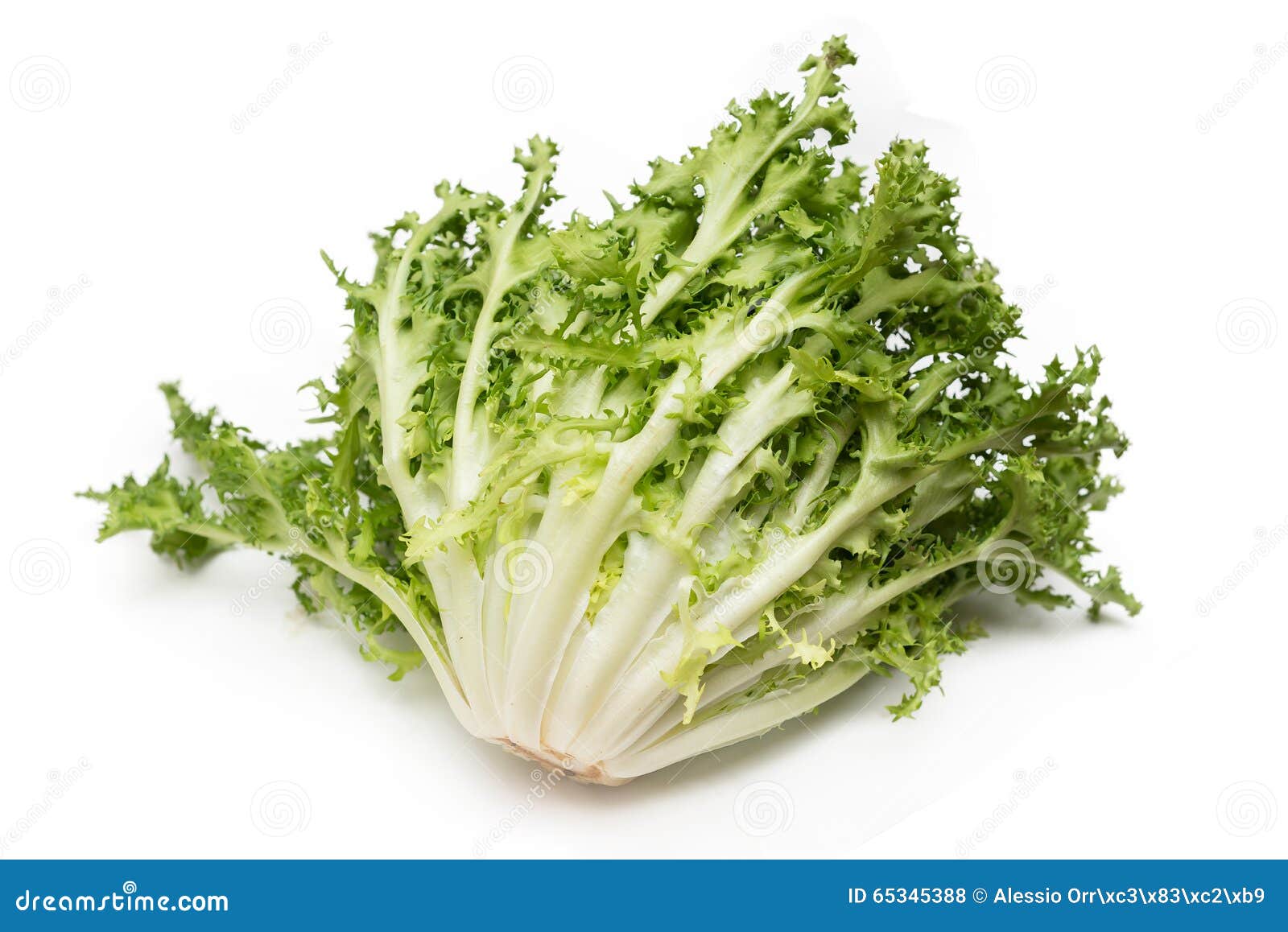 Indivia riccia fotografia stock. Immagine di agricoltura - 65345388
