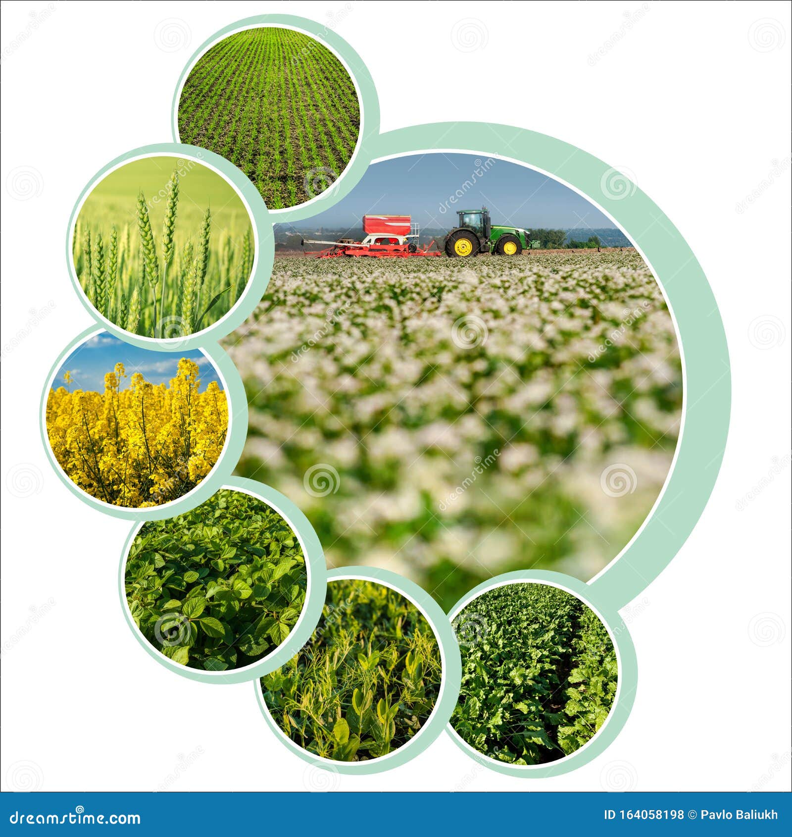 Individual Circle Design for Agrarian Theme with Photo Stock Photo ...