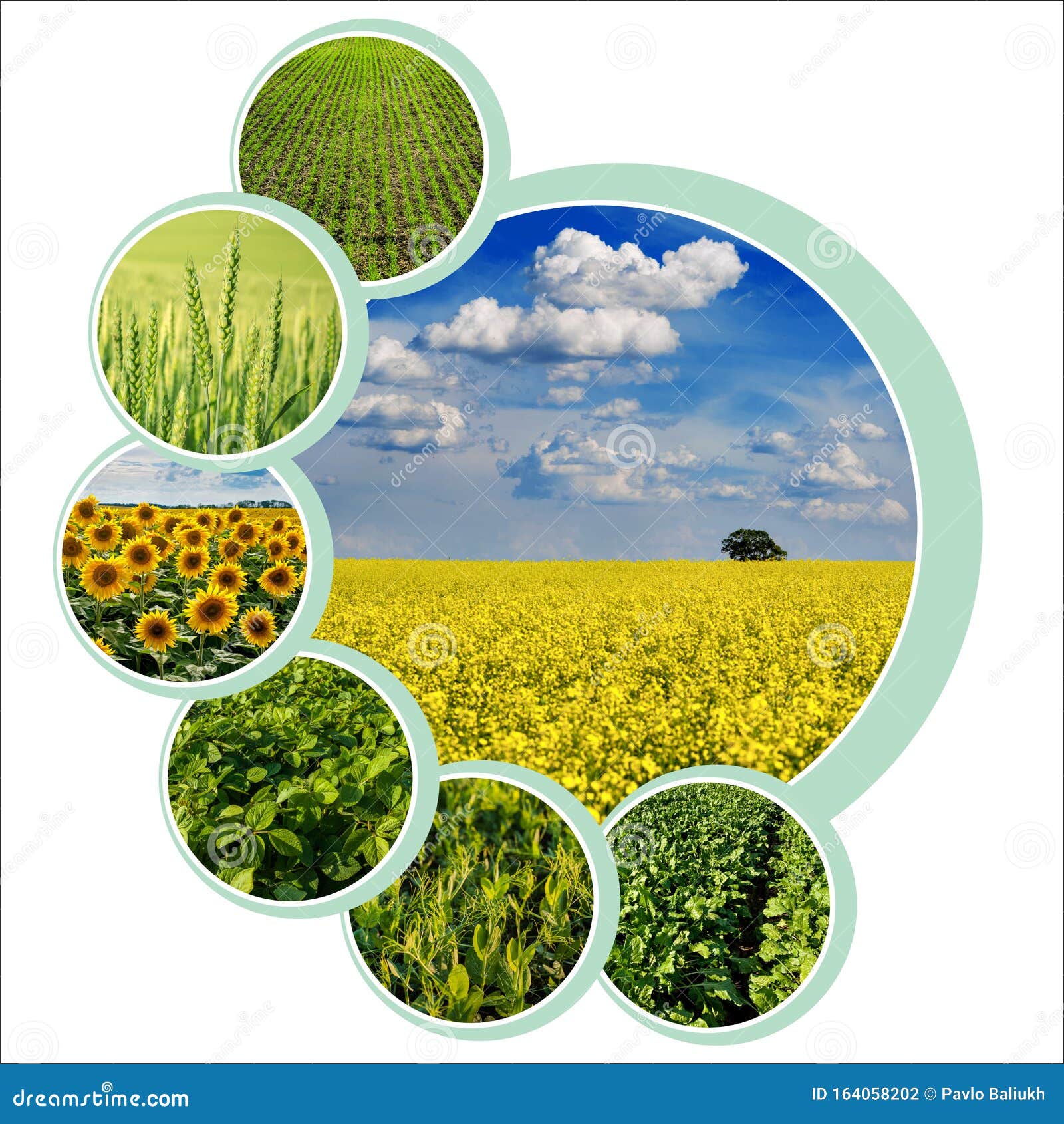 Individual Circle Design for Agrarian Theme with Photo Stock Photo ...
