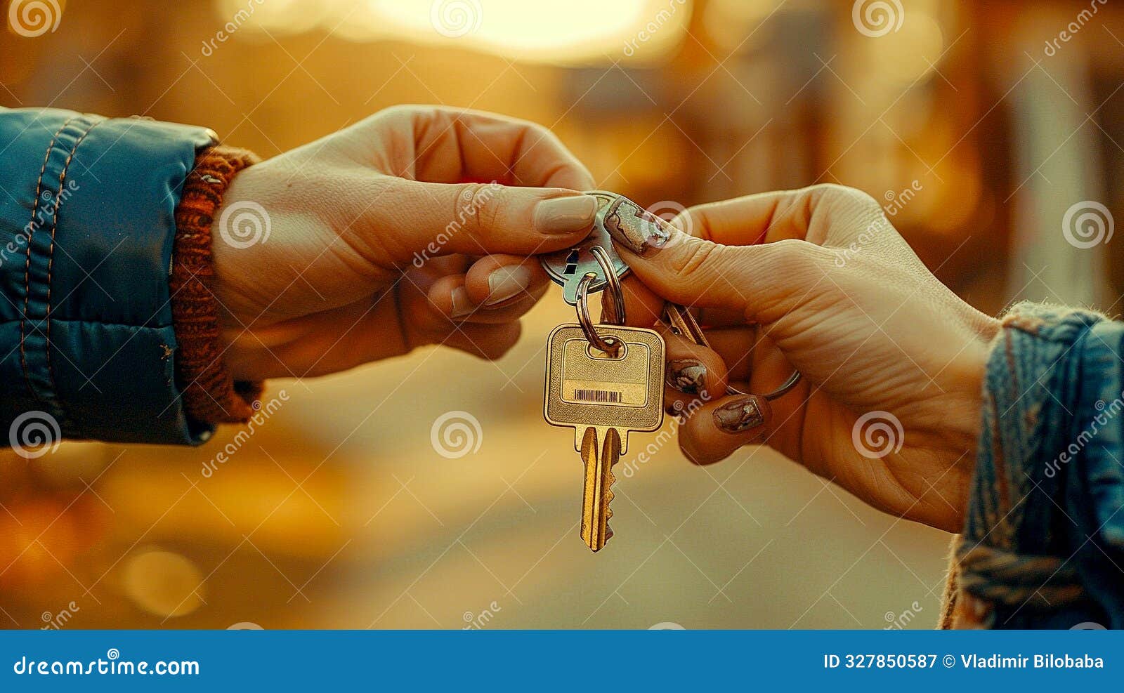 Individual Giving Keys in Broad Daylight Stock Illustration ...