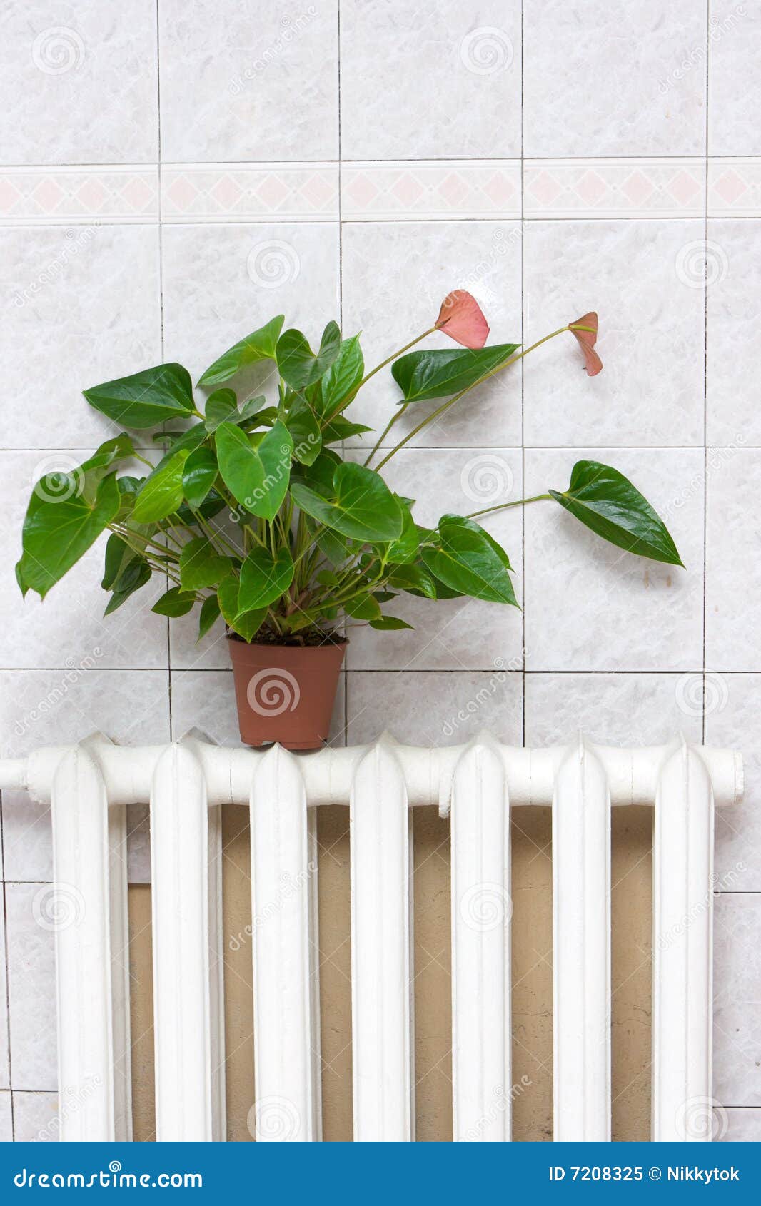 Individual heating concept stock image. Image of indoor - 7208325