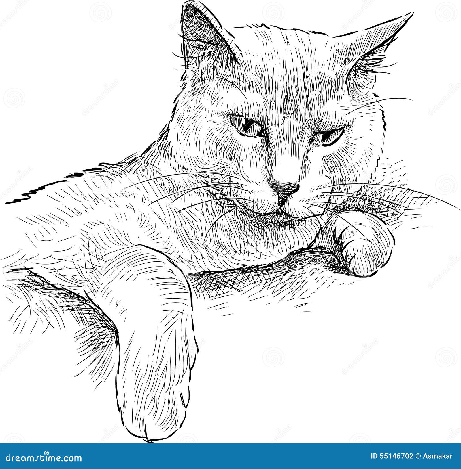 Indolent cat stock vector. Illustration of ears, hand - 55146702