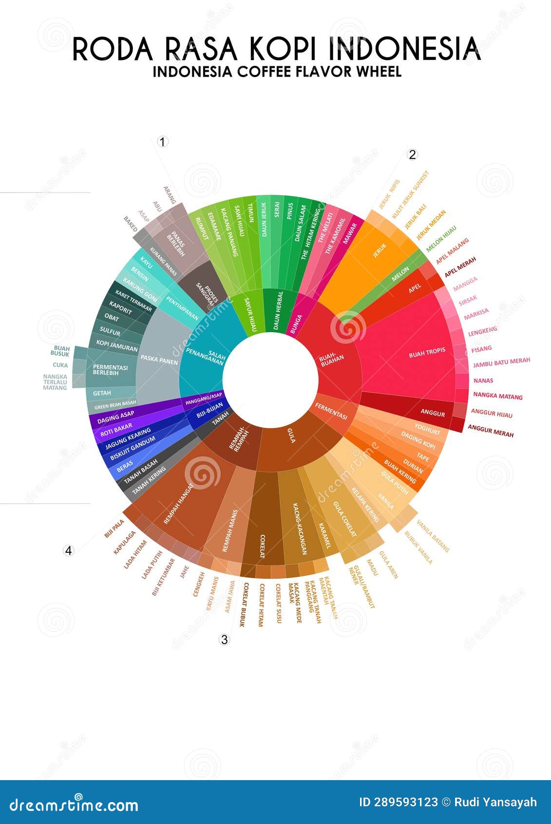 Indonesia Coffee Flavour Wheel Stock Illustration - Illustration of ...