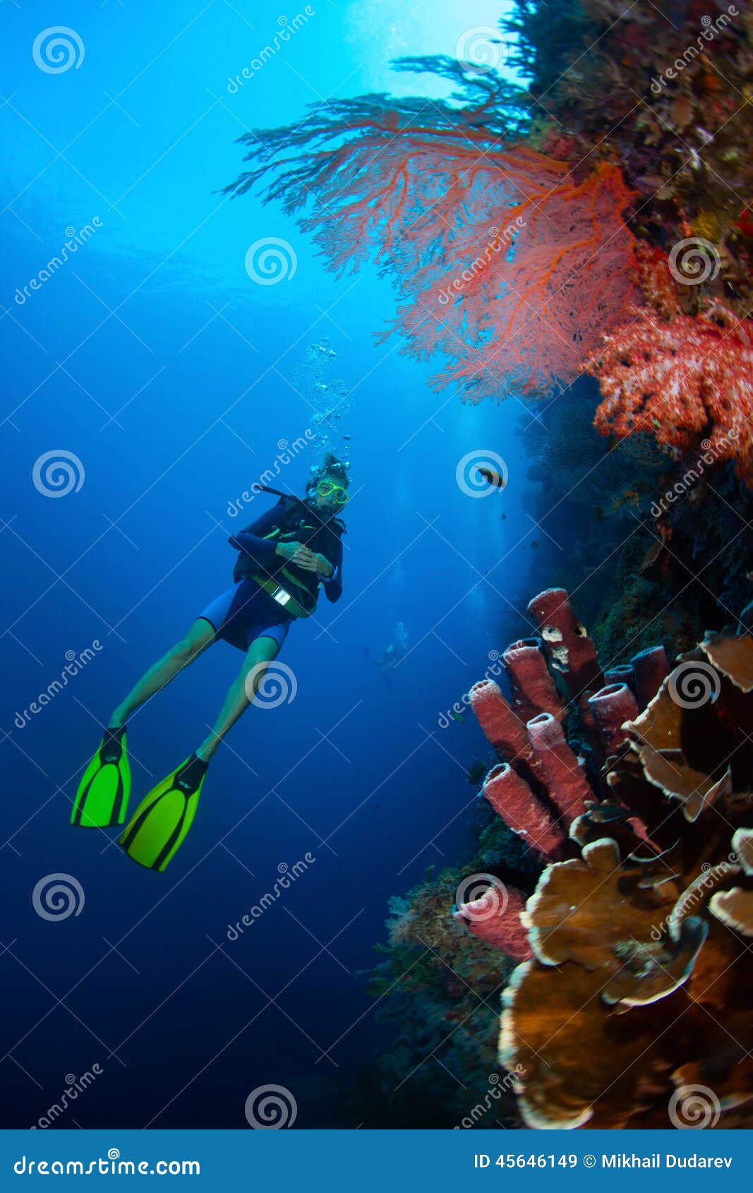 145 Bottomless Woman Photos - Free & Royalty-Free Stock Photos from ...