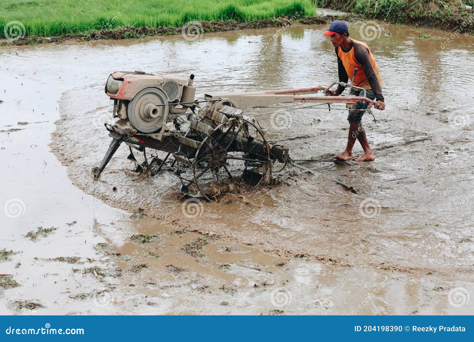 Indonesia Farmer Plowing a Rice Field Using Tiller Tractor Editorial ...