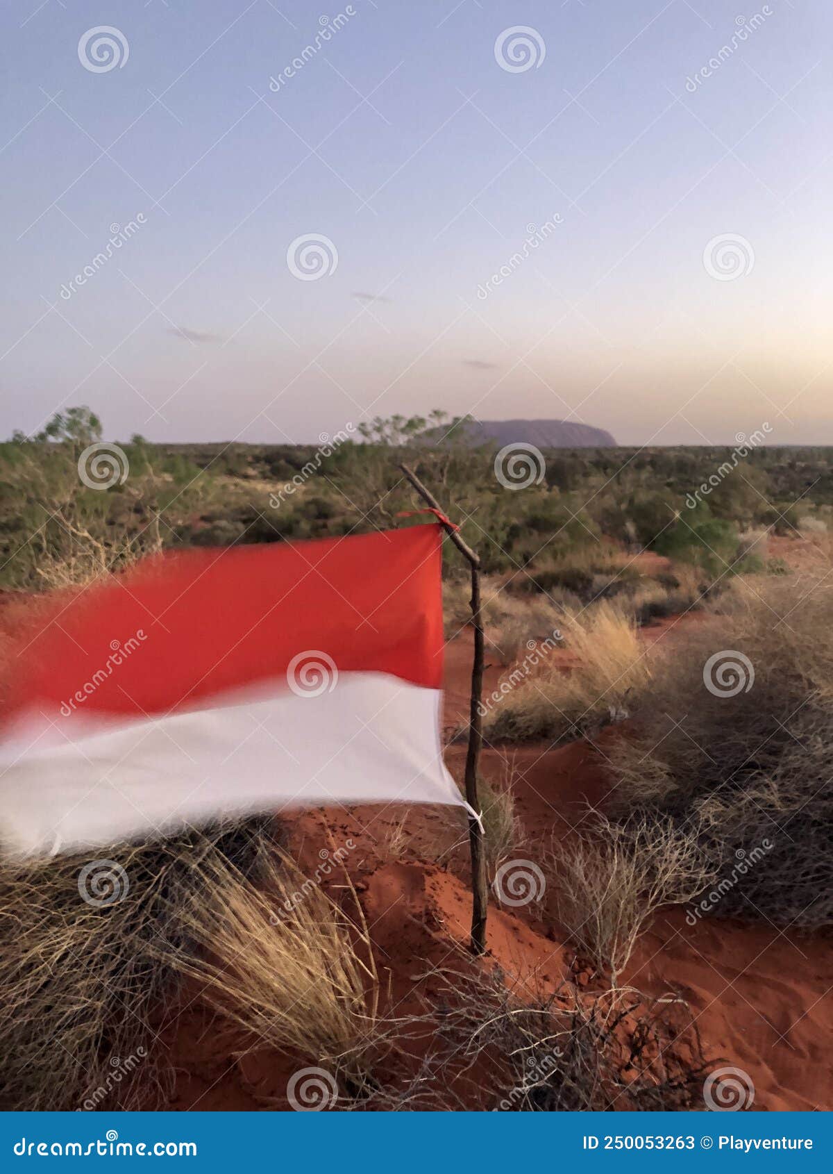 Indonesia Flag in ULURU stock image. Image of flower - 250053263